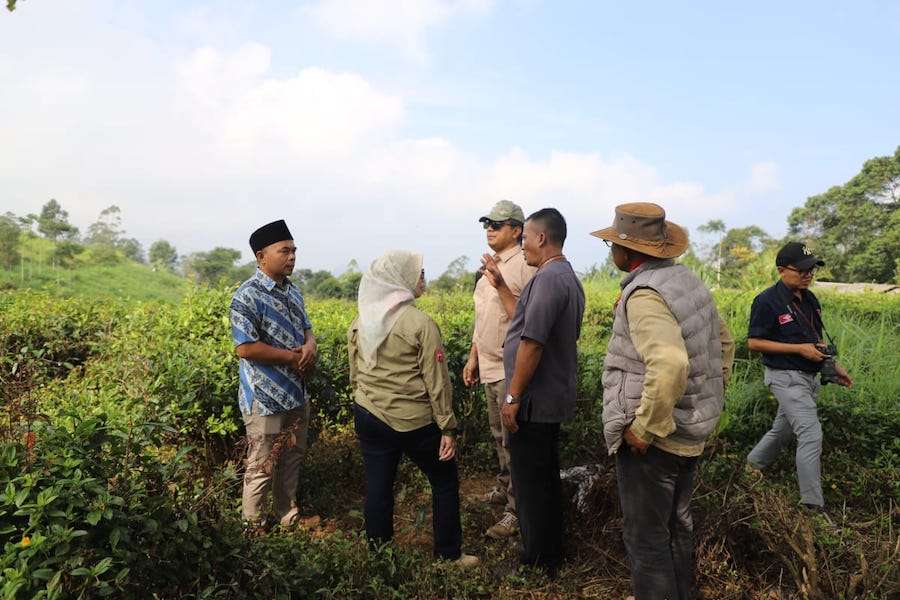 Monitoring Kawasan Pertanian Terpadu di Garut, Pemerintah Fokus pada ...