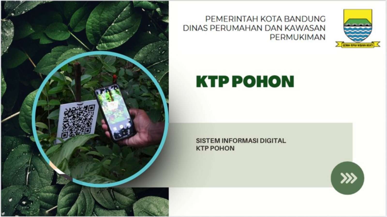 Tingkatkan Keselamatan Warga, Pemkot Bandung Terapkan KTP Pohon ...