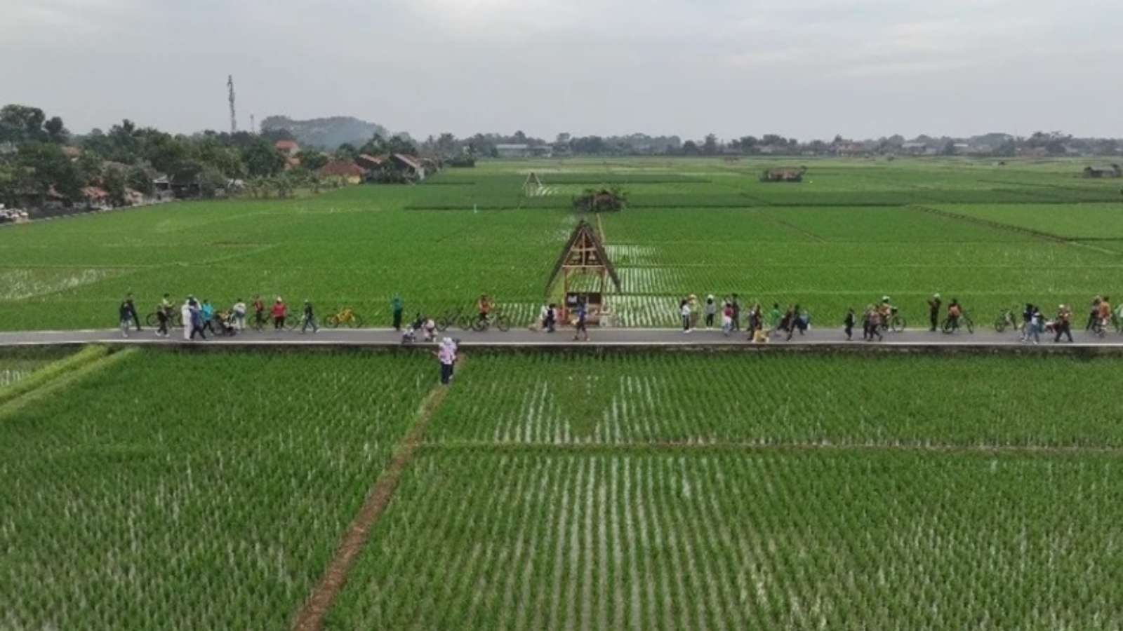 Jelajahi Beragam Potensi dan Keunggulan 7 Desa Wisata Baru di Kabupaten ...